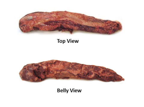 Tips on How to Buy Beef Tenderloins - Buckhead | Newport Meat & Seafood